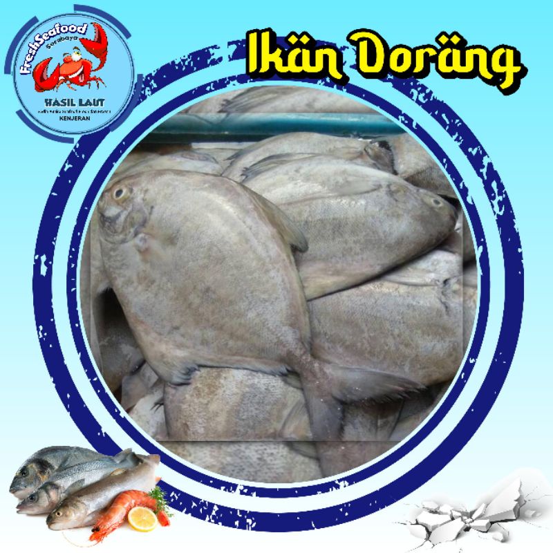 Jual IKAN DORANG SEGAR 1kg | Shopee Indonesia