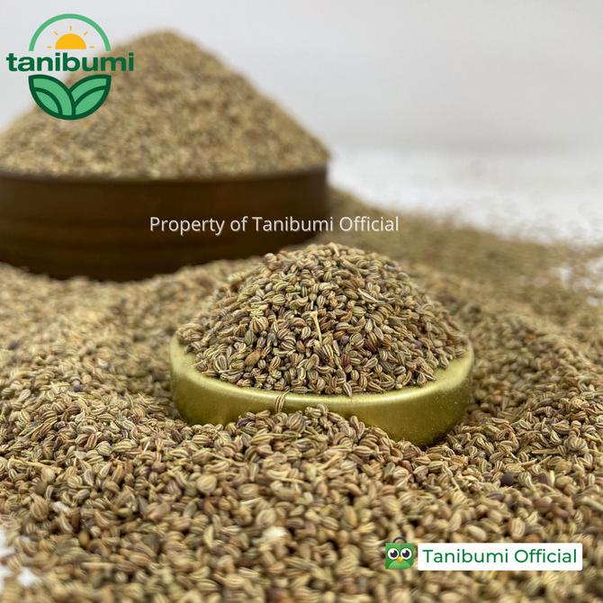 Jual PROMO Ajwain Seed | 100g | Carom Seed | Mungsi | Ketumbar Mungsi ...