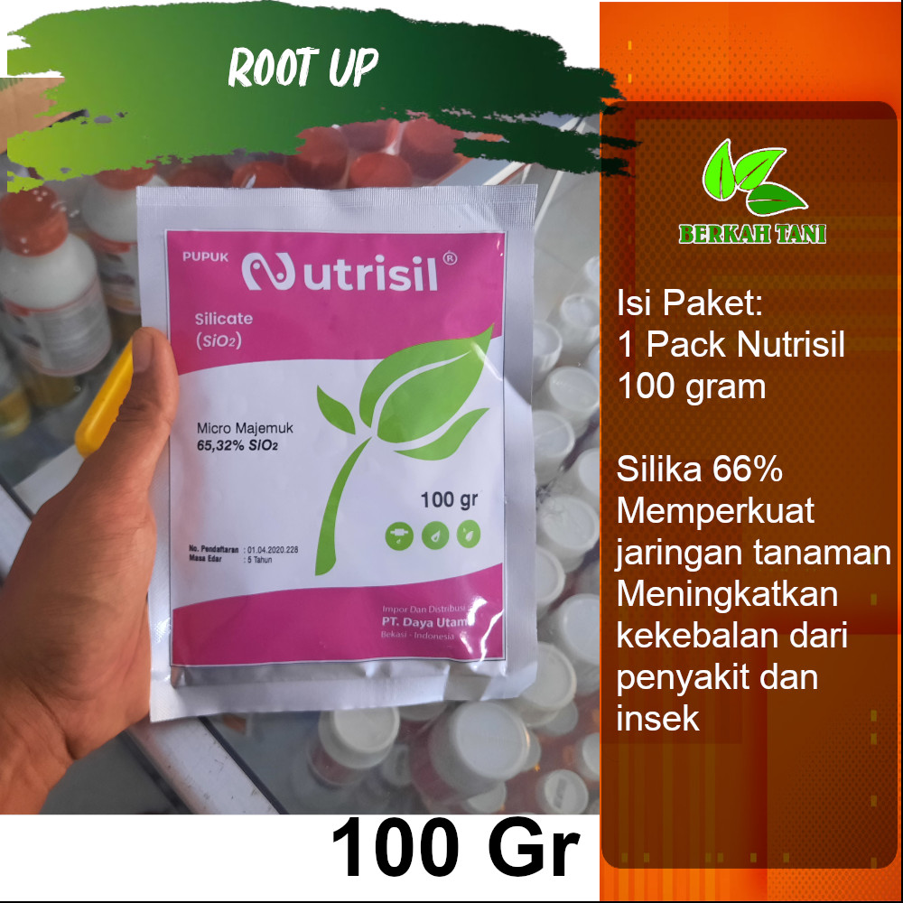 Jual Nutrisil 100 Gr Silika Flake Pupuk Silika Tahan Rebah | Shopee ...