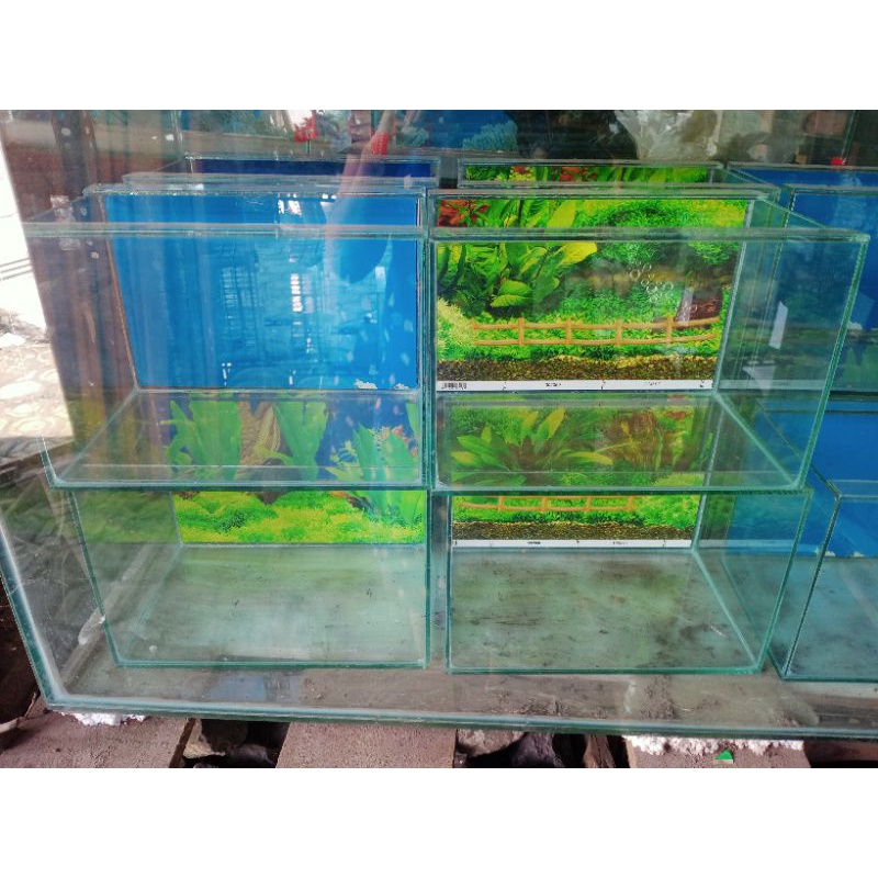 Jual aquarium kaca kotak ukuran 30x20 | Shopee Indonesia