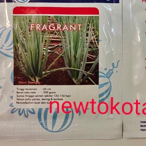 Jual Benih daun bawang FRAGRANT 10 gram dari known you seed kys bawang prei 10gr fragrant kys ...