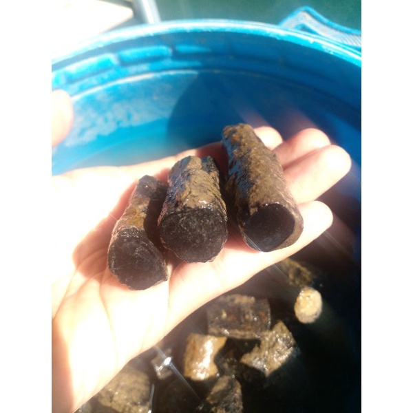 Jual Batu kalimaya sempur petrifiedwood/opalizedwood blackopal sempur ...