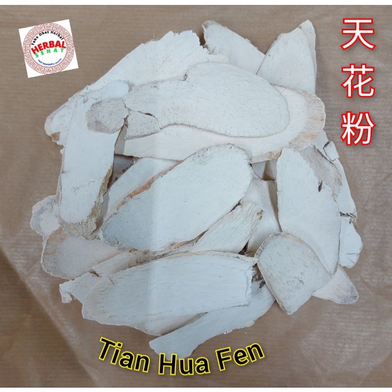 Jual Tian Hua Fen 600 Gram - Trichosanthes Root Trichosanthis Kirlowii ...