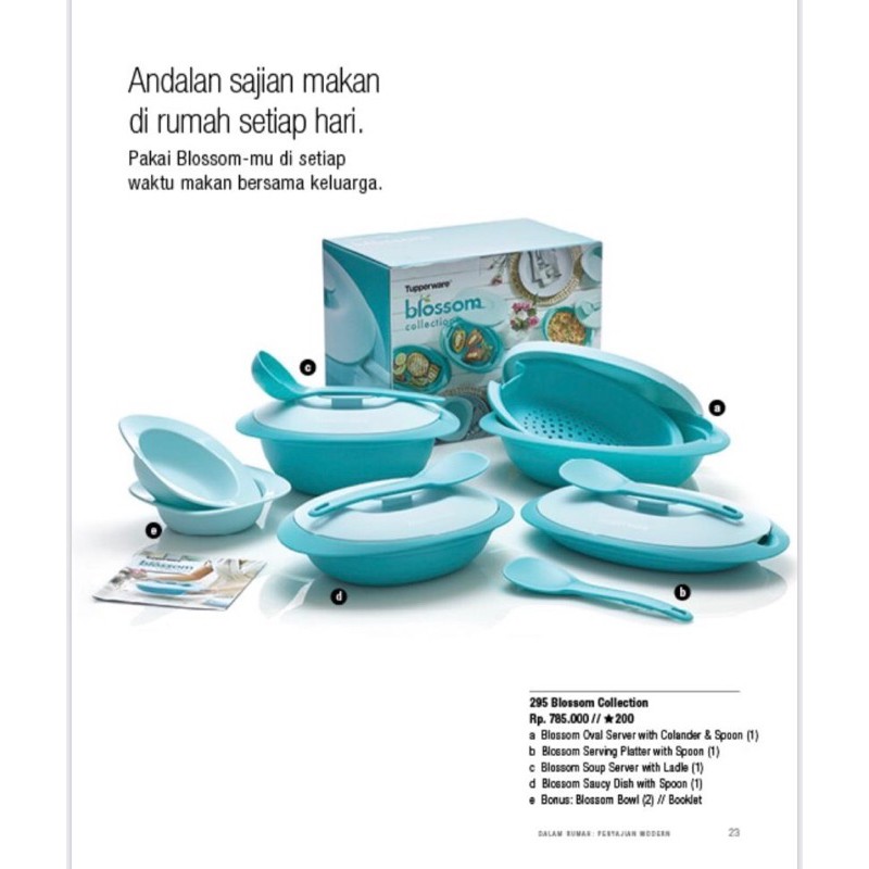 Jual blossom coll (box) | Shopee Indonesia