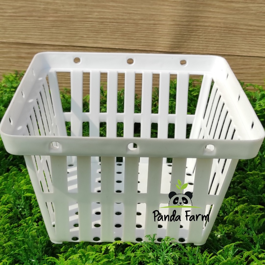 Jual Pot Bunga Anggrek Vanda no 15 NKT Putih | Shopee Indonesia