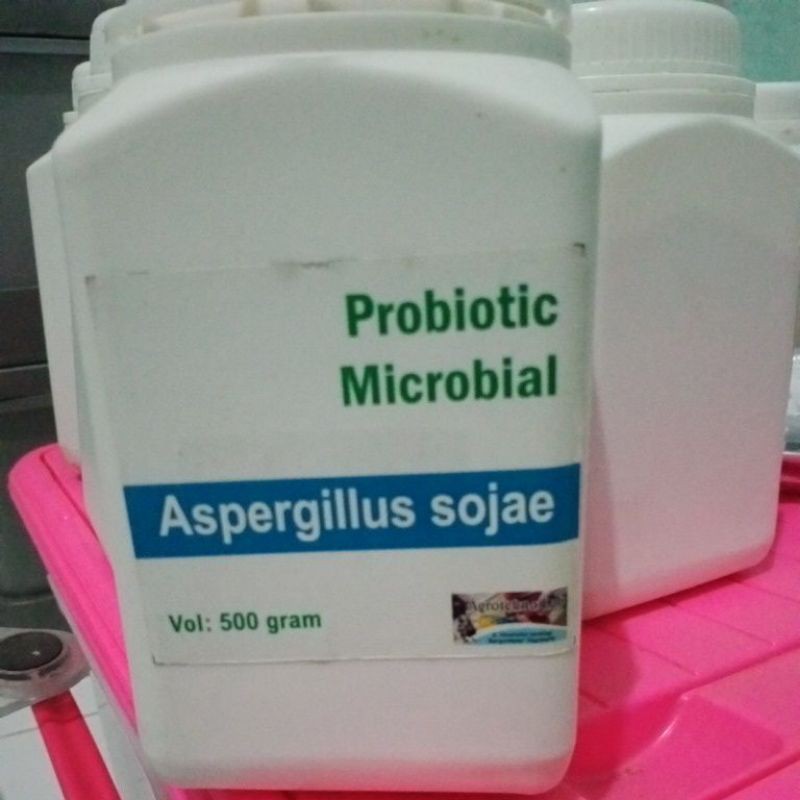 Jual Ragi Kecap - Aspergillus sojae | Shopee Indonesia
