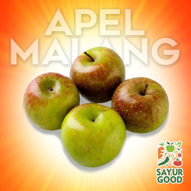 Jual Apel Malang / Buah Apel Malang Segar / 1 Kg (Buah Segar) | Shopee Indonesia