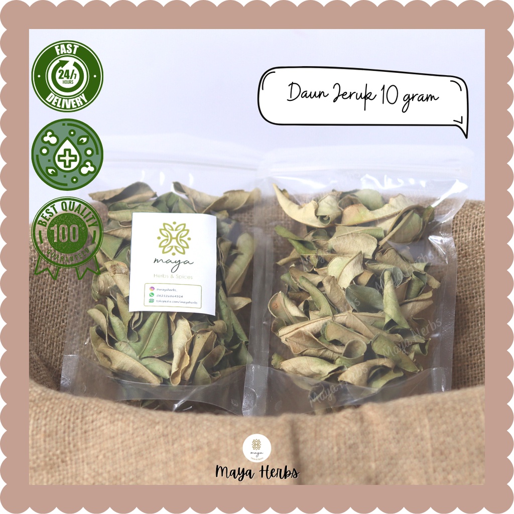 Jual Daun Jeruk Wangi / Jeruk Purut Kering 10 gram ( Citrus Hystrix ...