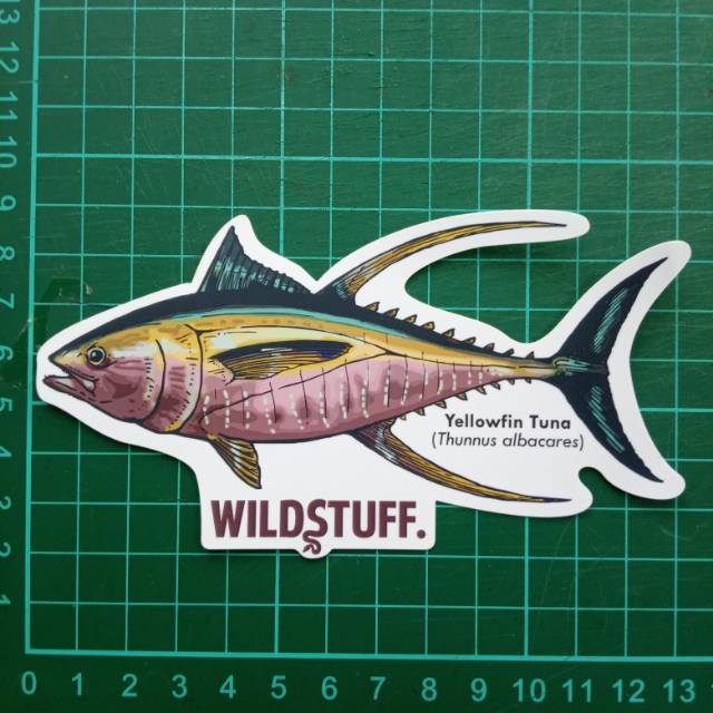 Jual Sticker Wildstuff - Yellow fin Tuna | Shopee Indonesia