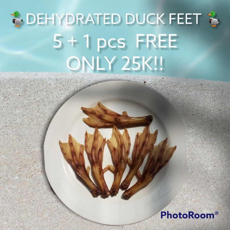 Jual DUCK FEET JERKY | Shopee Indonesia