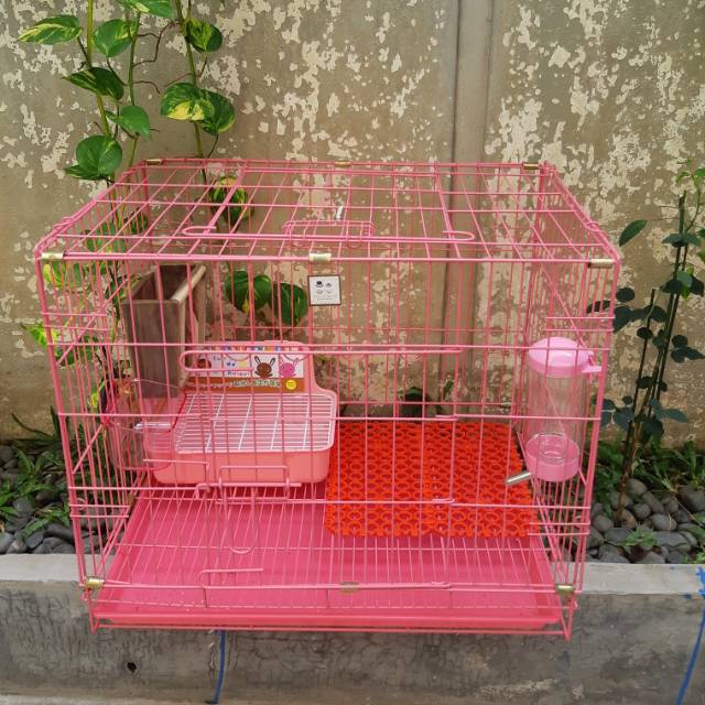 Jual Kandang kelinci marmut kucing anjing ukuran 60x45x50cm | Shopee ...
