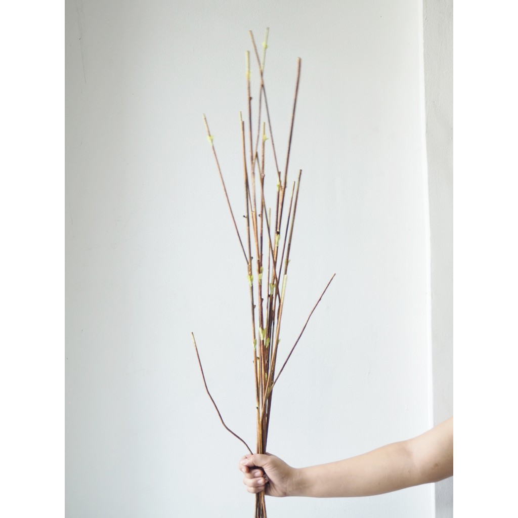 Jual Ranting Artificial dengan Tunas Kecil (70138) | Shopee Indonesia