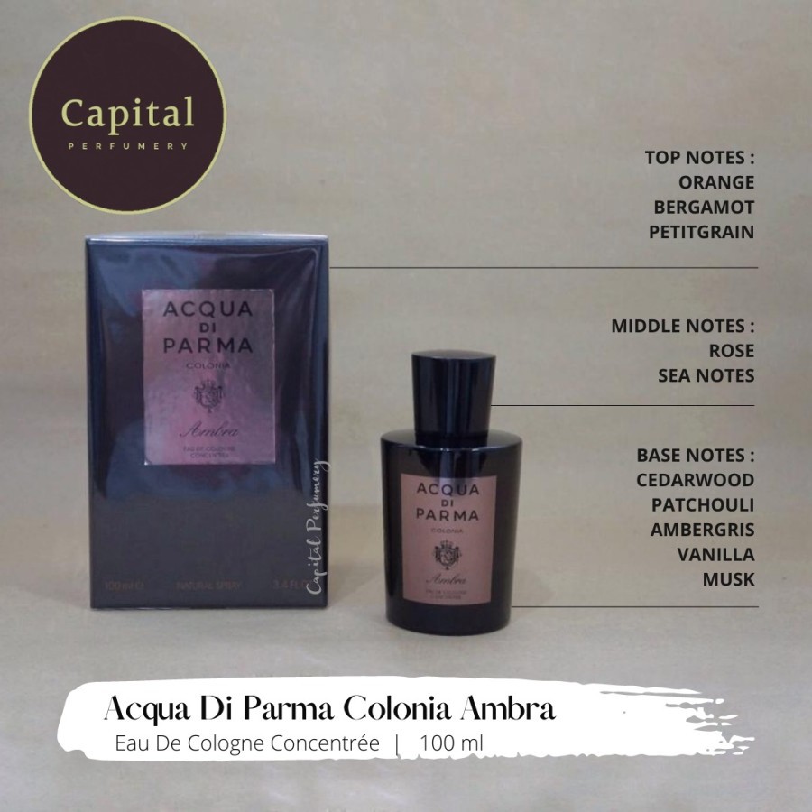 Jual Parfum Original ADP Colonia Ambra Eau De Cologne Concentree 100ml ...