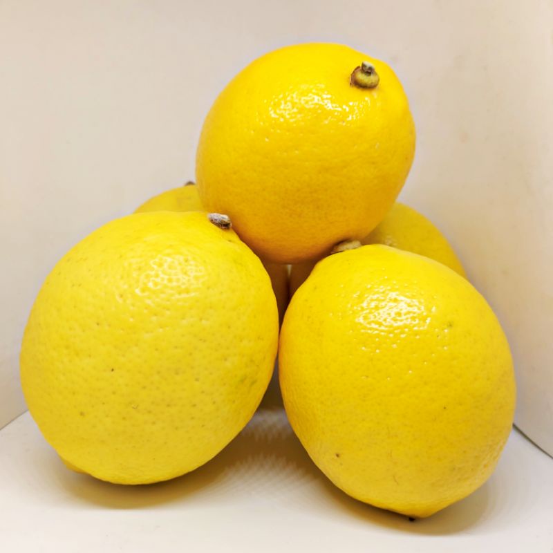 Jual LEMON CALIFORNIA MURAH 1 KG JAKARTA BARAT+ FRESH + BANYAK AIR ...