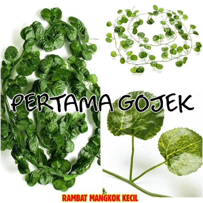 Jual Lusinan Tanaman Plastik Merambat/Rumput Dekor/Busa Bunga/Floral ...