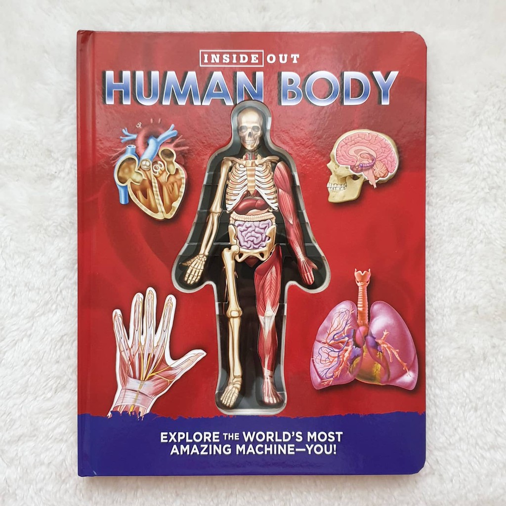 Jual Inside Out Human Body Book | Shopee Indonesia
