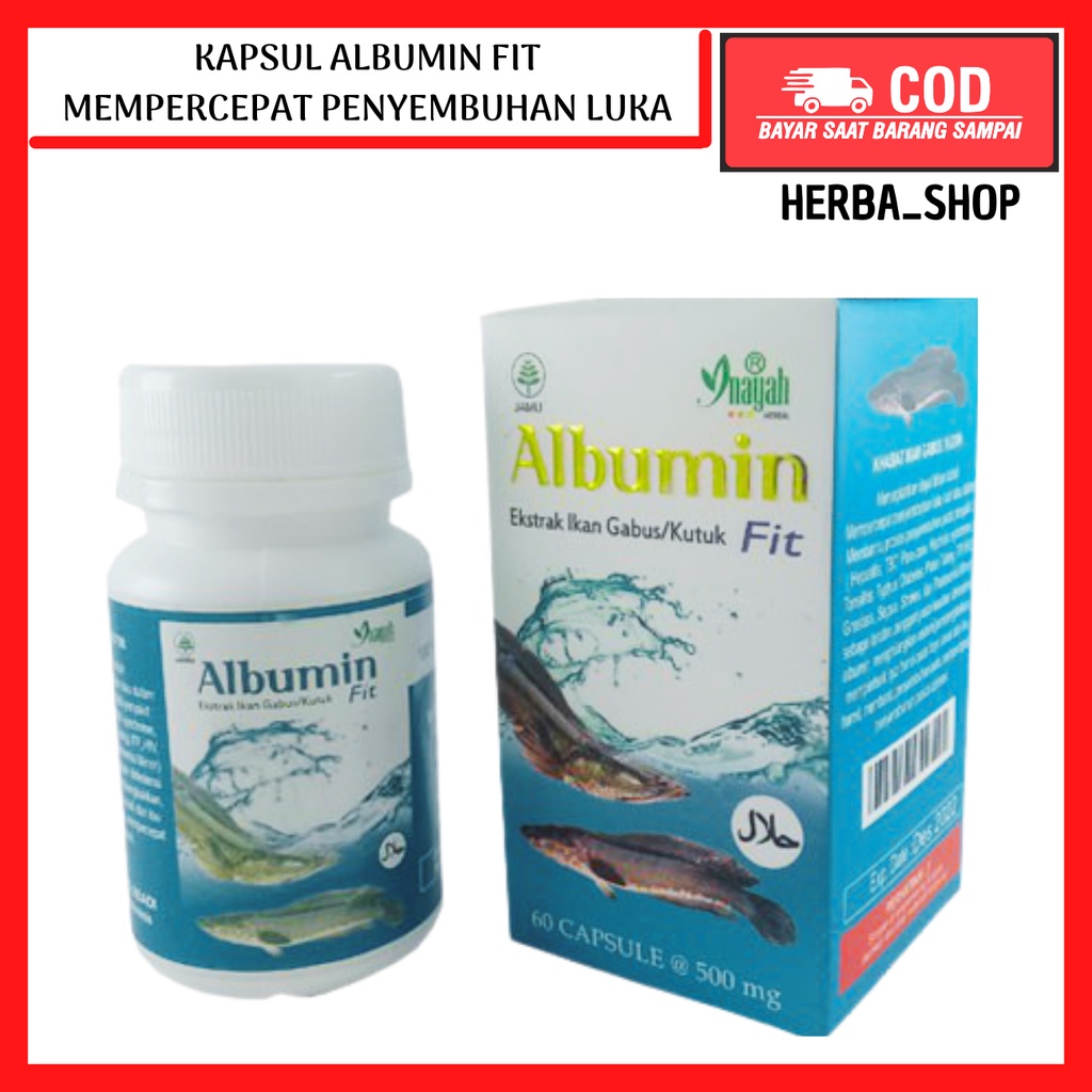 Jual kapsul ikan gabus INAYAH 60 kapsul | Meningkatkan kadar albumin dan daya tahan tubuh ...