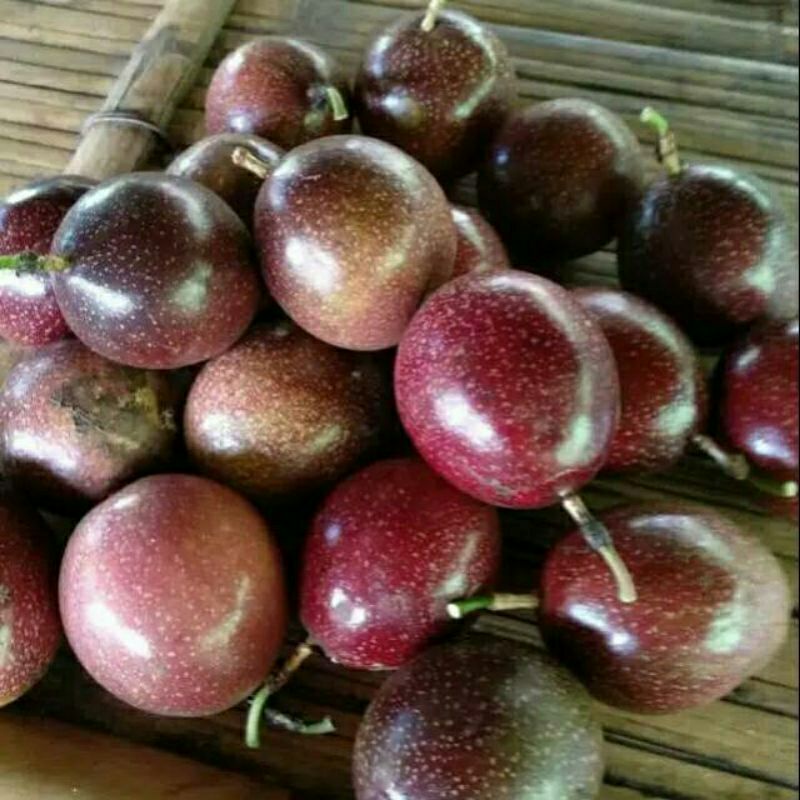 Jual Buah Markisa Merah | Shopee Indonesia