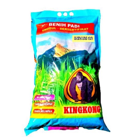 Jual BENIH PADI INPARI 32 JUMBO KINGKONG | Shopee Indonesia