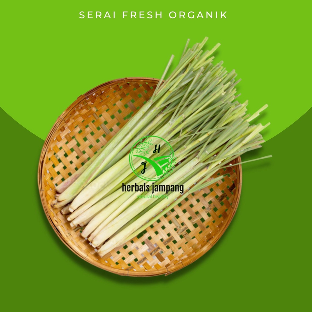 Jual sereh serai segar Serai Fresh Organik 90% Rempah Rempah Serai ...