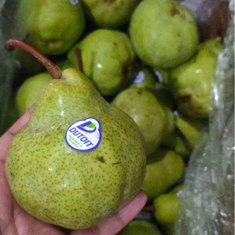Jual Buah Pir Packham Pear Manis Segar | Shopee Indonesia