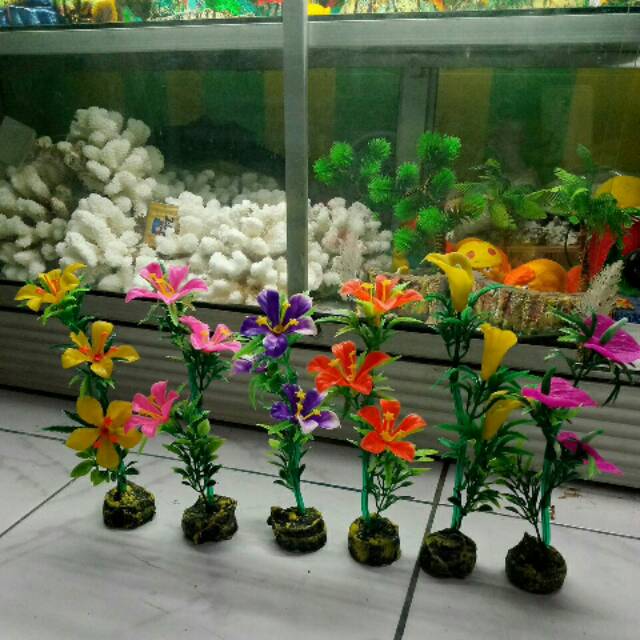 Jual MAINAN AQUARIUM HIASAN TANAMAN BUNGA LOKAL | Shopee Indonesia