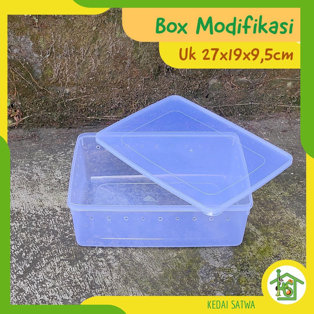 Jual Box Reptile | Kandang Gecko Tarantula Ular | Box Packing Reptil ...