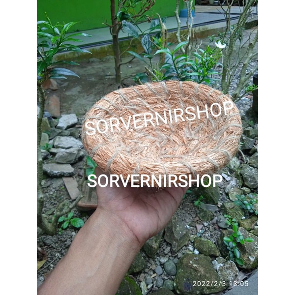 Jual Sarang Burung Perkutut Sabut Kelapa Tarangan Burung Perkutut ...
