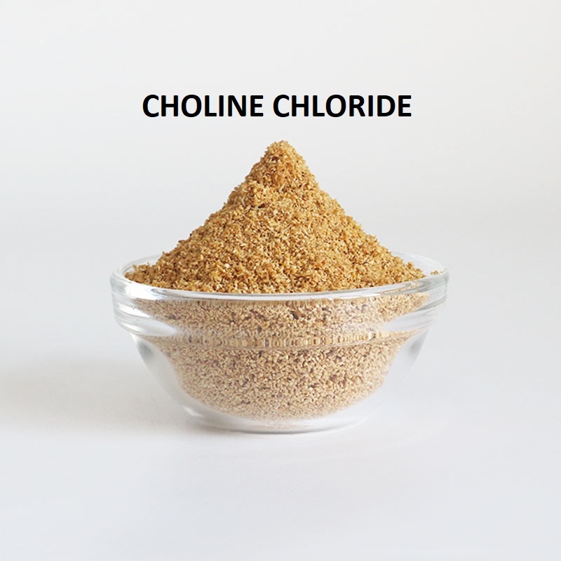Jual Choline Chloride Powder 100 gram | Shopee Indonesia