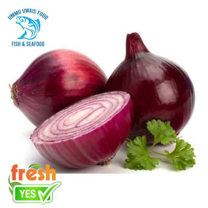 Jual Bawang Bombay Merah Segar - 500 Gram | Shopee Indonesia