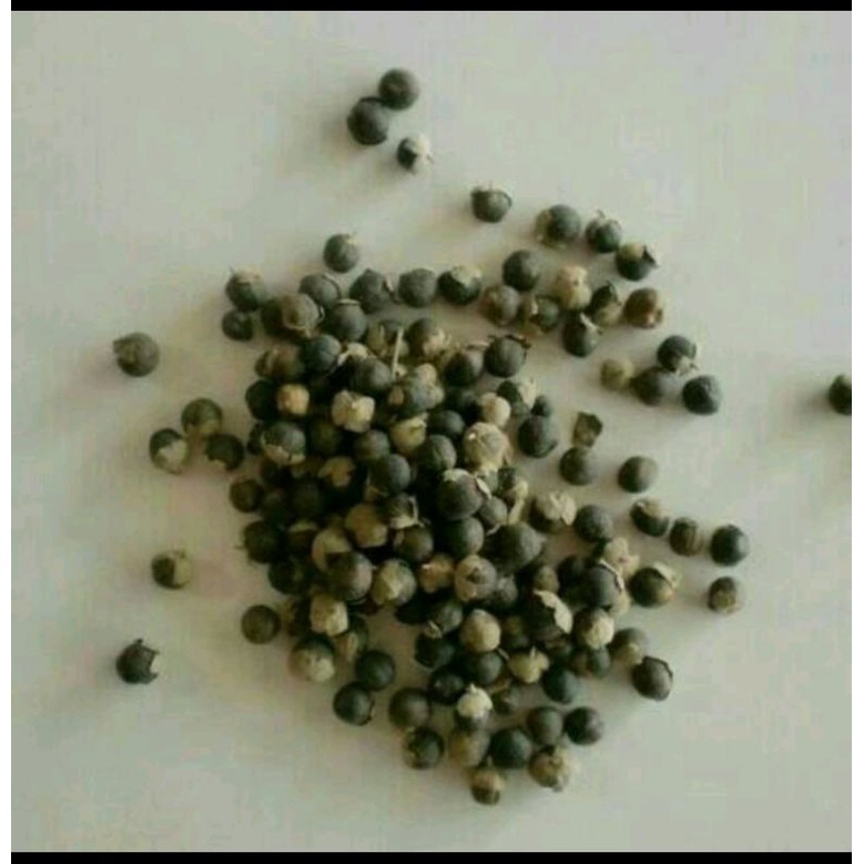 Jual 300 G GR GRAM 蔓荆子 MAN JING ZI FRUCTUS VITICIS VITEX FRUIT | Shopee ...