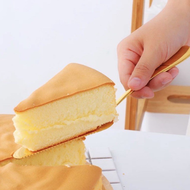 Jual Cake Shovel (Sekop Kue) | Shopee Indonesia