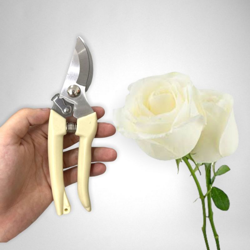 Jual alat bonsai , gunting dahan pruning putih | Shopee Indonesia