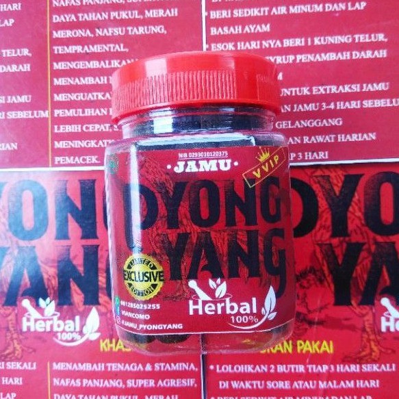 Jual Jamu Pyongyang Hitam Vvip Botol Doping Ayam Aduan Jamu ayam aduan ... Jual Jamu Pyongyang Hitam Vvip Botol Doping Ayam Aduan Jamu ayam aduan ...