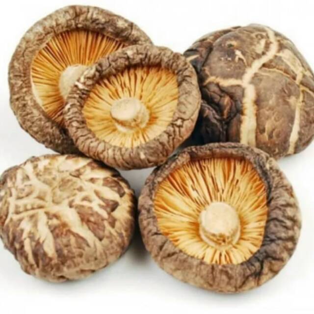 Jual Jamur Shitake / Jamur Hioko / Jamur Hyoko 100gr (Repack) | Shopee ...