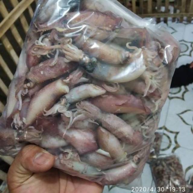 Jual cumi rebus kering fres ukuran 4-7cm berat 1kg | Shopee Indonesia
