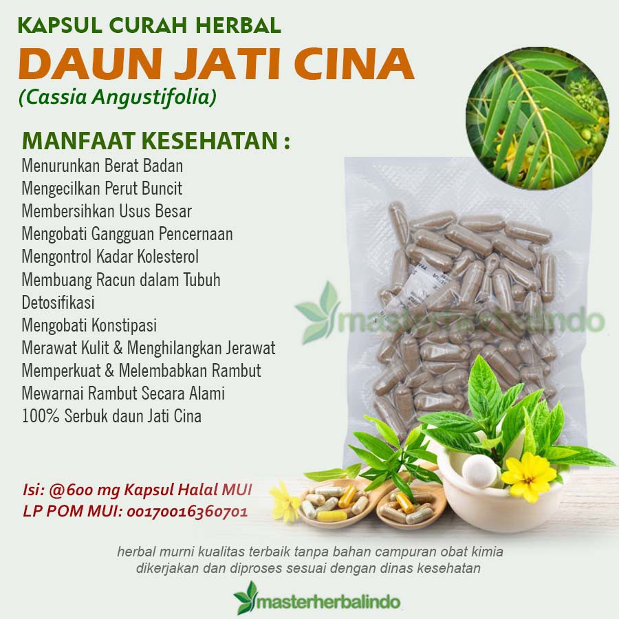 Jual JATI CINA 100 Kapsul Herbal Pelangsing Perut Buncit Detoksifikasi ...