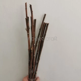 Jual Ranting Kering Terlengkap & Harga Terbaru Desember 2025 | Shopee ...