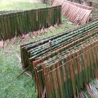 Jual Atap daun rumbia atap dahon atap gazebo natural | Shopee Indonesia