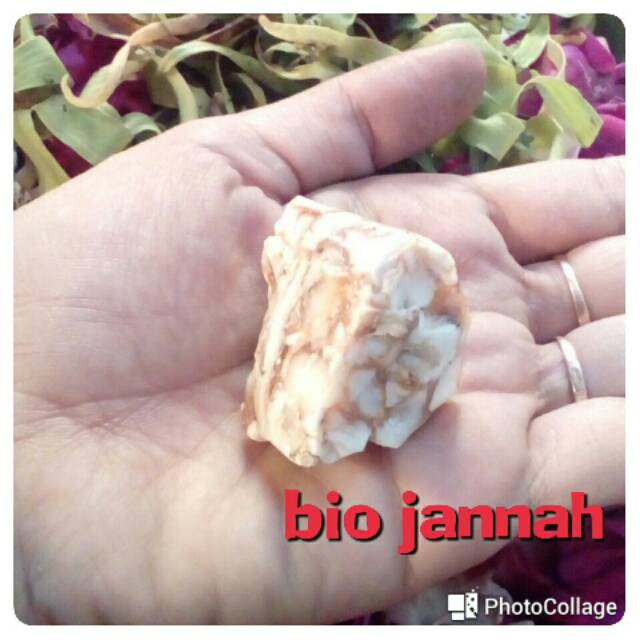 Jual Menyan madu terbaik 15 gr | Shopee Indonesia