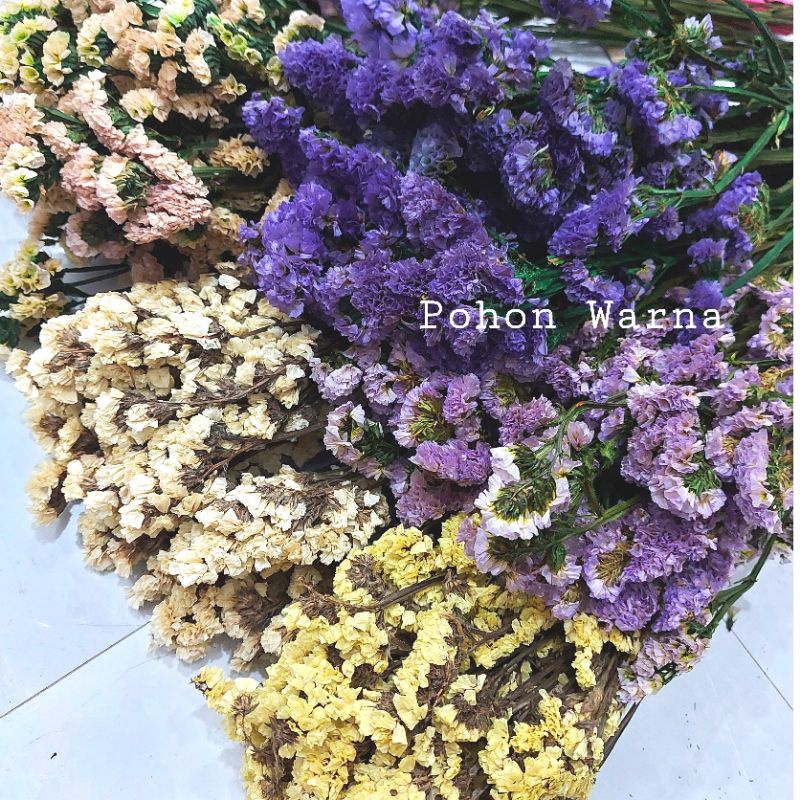 Jual (ECER) Preserved Statice Flower / Dried Statice Forget me not ...