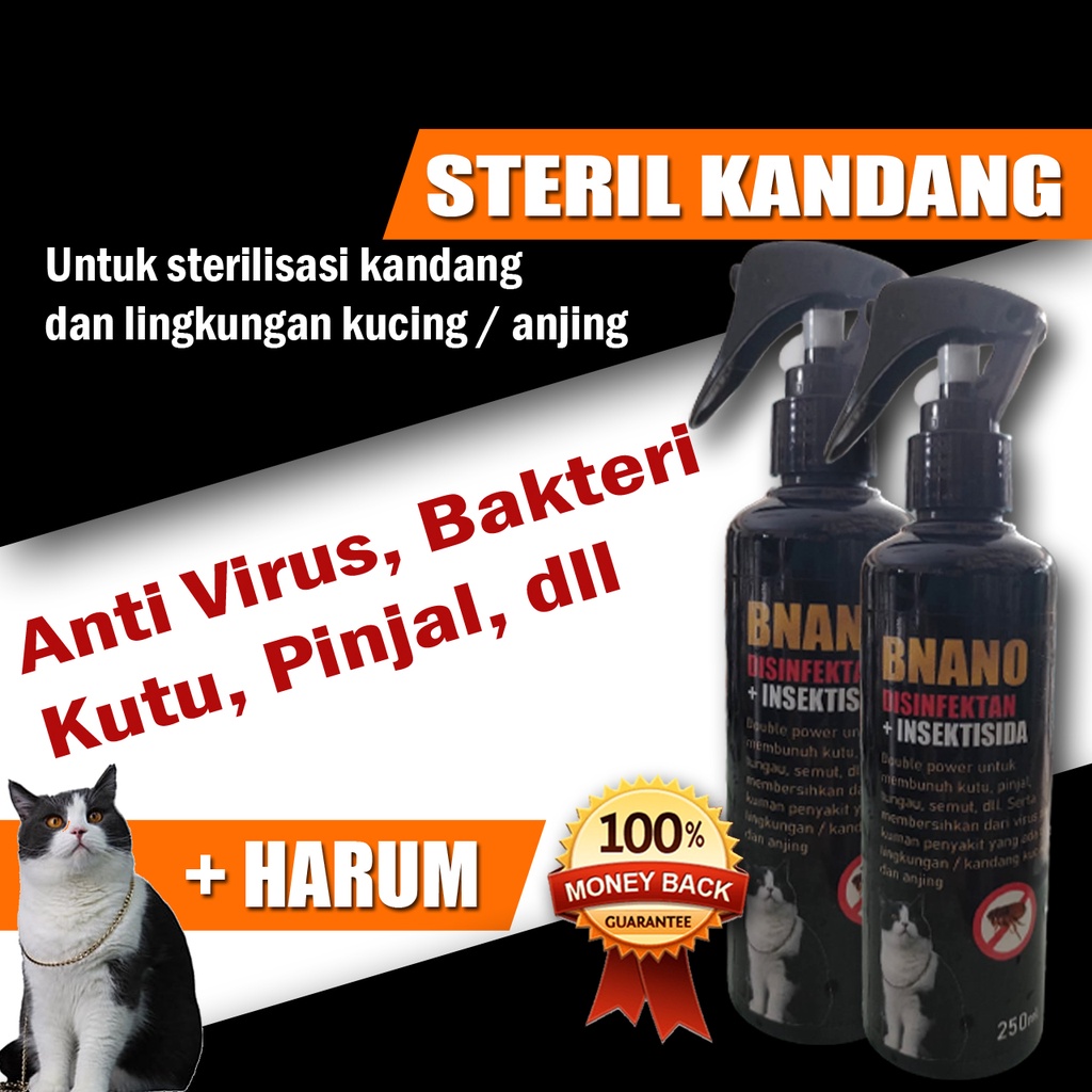 Jual Desinfektan KANDANG KUCING mengatasi VIRUS KUTU PINJAL TUNGAU ...