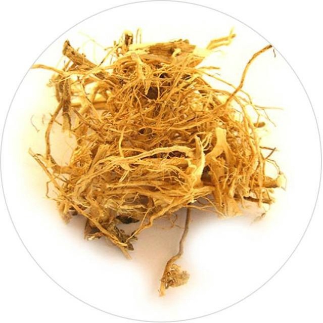 Jual Akar Tanaman Sidaguri Segar 1kg- Sadagori- Sidagori Fresh | Shopee ...