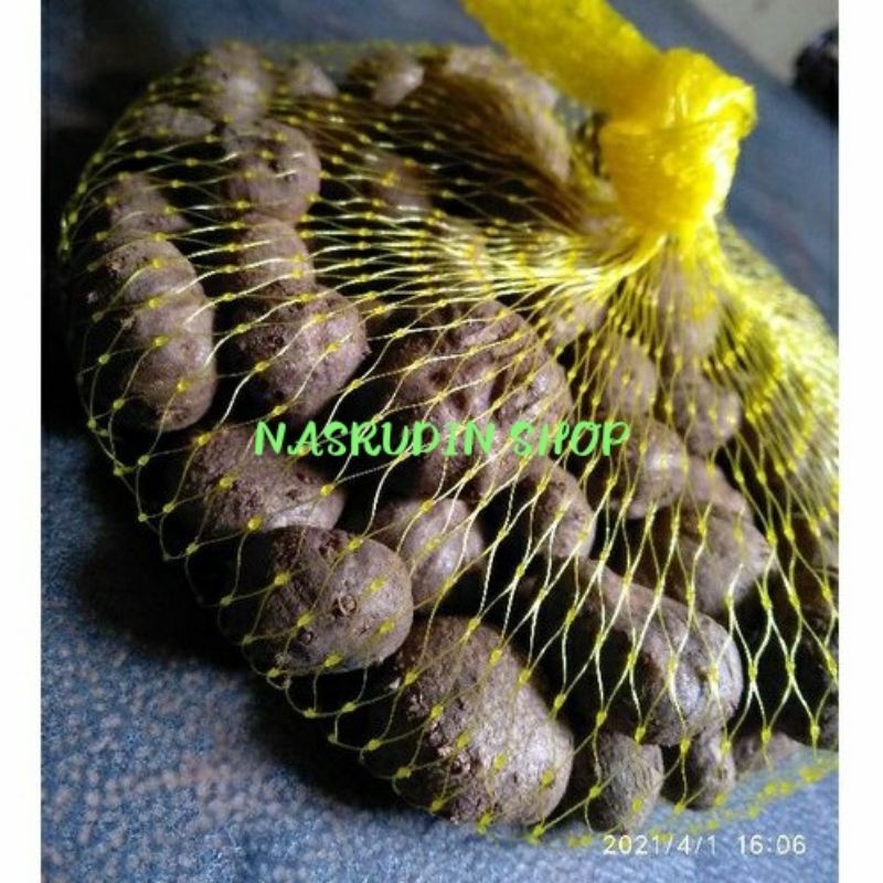 Jual KATAK PORANG SUPER 1KG BIBIT PORANG BULBIL PORANG KEMASAN JARING ...