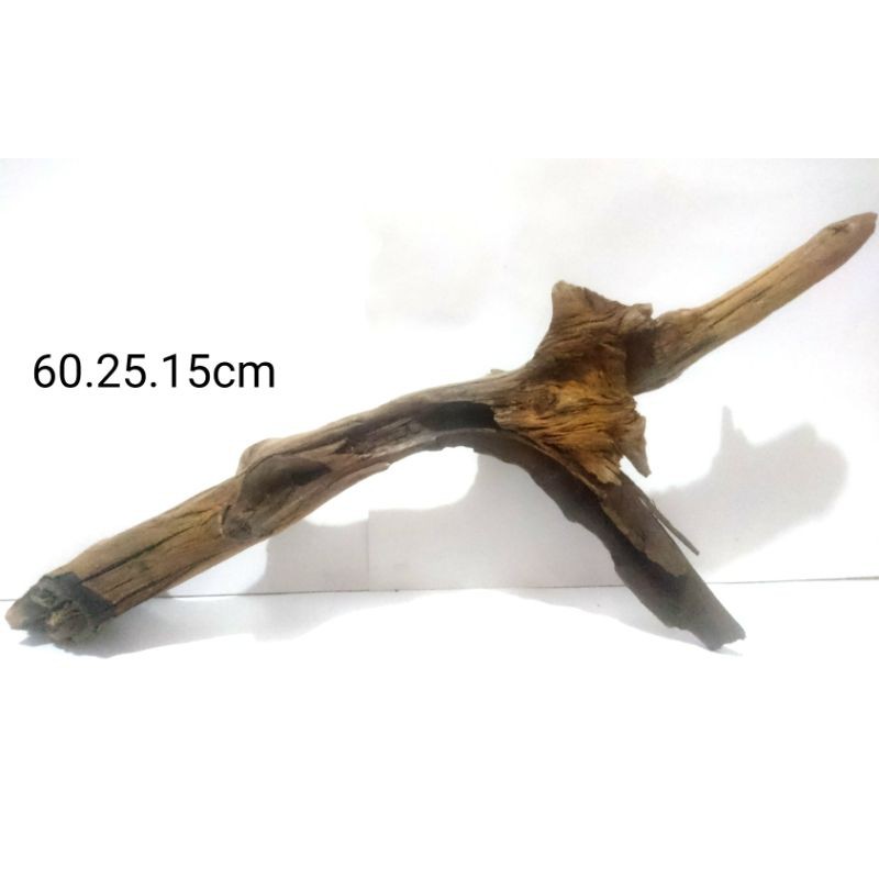 Jual Kayu Rentek Santigi Erori Kayu Aquascape Kayu Reptil Kayu Fosil ...