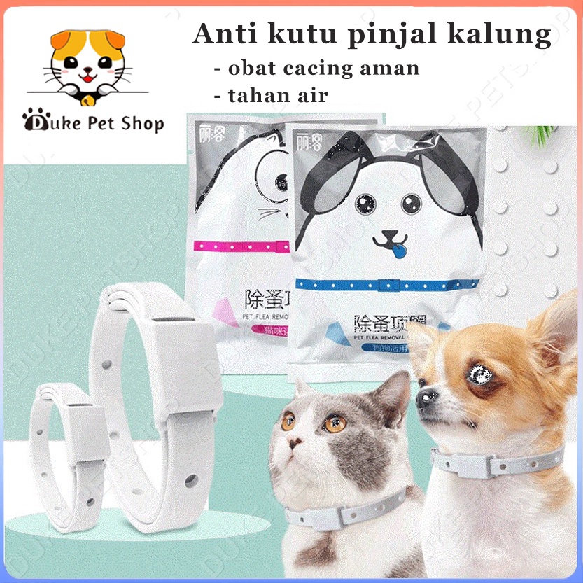 Jual kalung kucing anti kutu pinjal kalung anjing anti kutu anti ulat ...