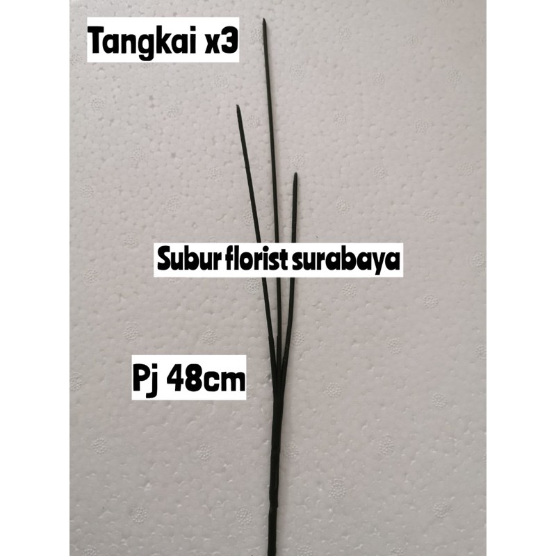 Jual Tangkai Bunga 3 / Tangkai Cab 3 per 12pc | Shopee Indonesia