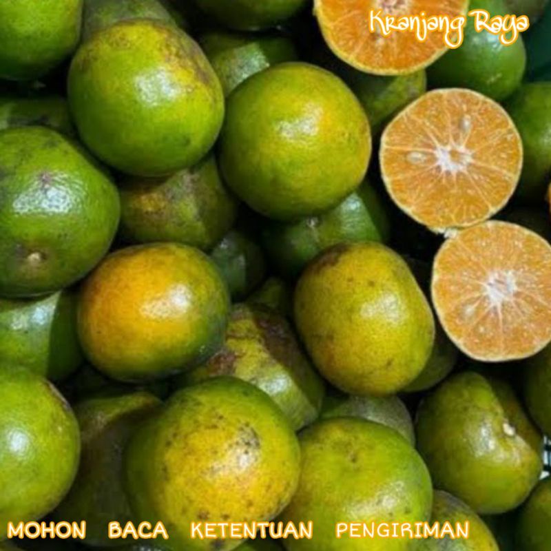 Jual Jeruk Peras | Shopee Indonesia