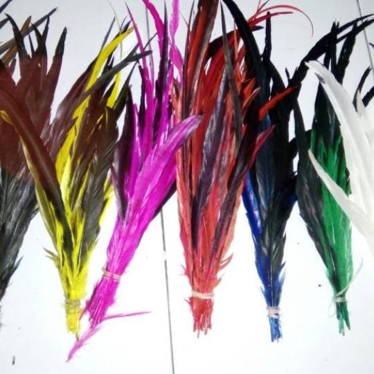 Jual MEGA ⚡ALE /Bulu lancur ayam jago panjang 27-45cm/ bulu ekor jago ...