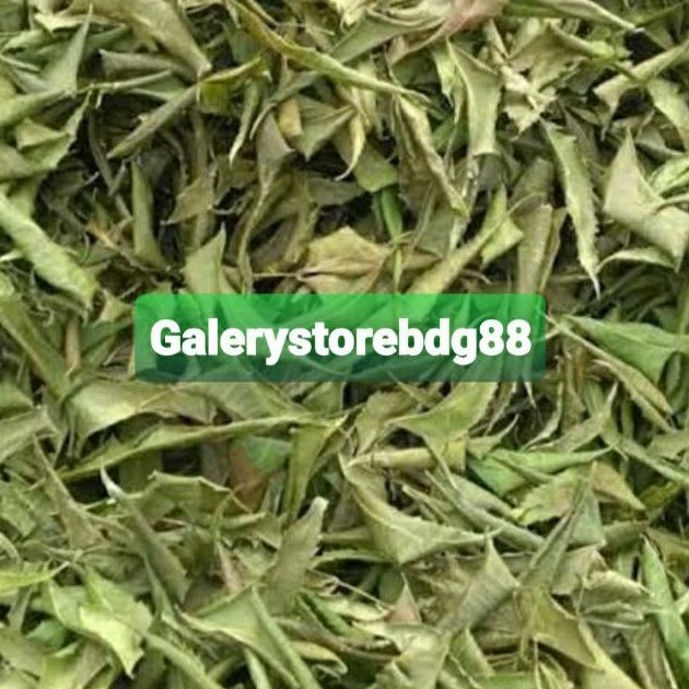 Jual Daun mindi kering asli 250 gram | Shopee Indonesia